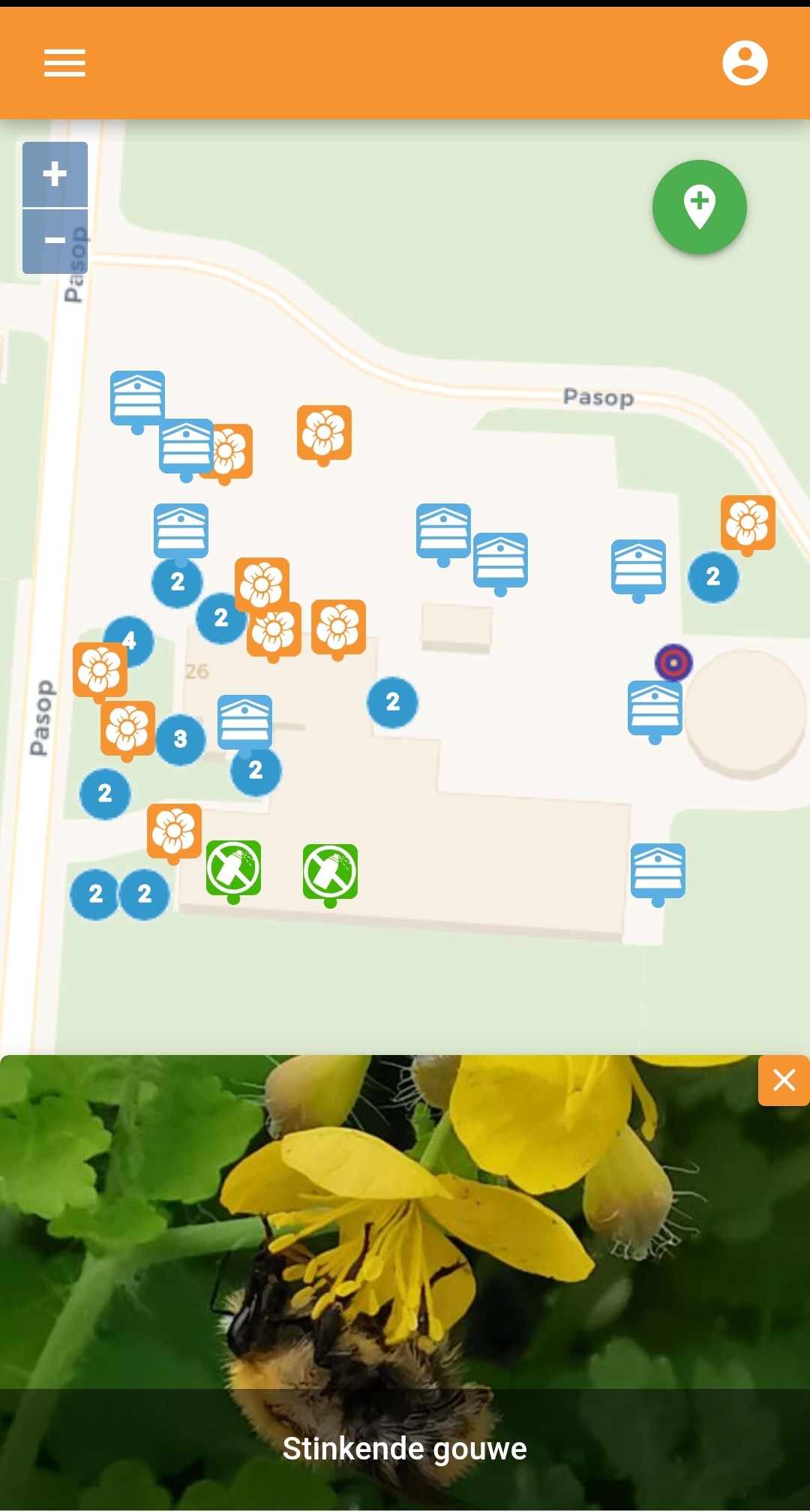 José de Boer - The Place to Bee